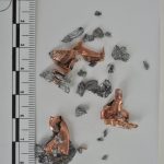 Wound Ballistics - Biokinetics