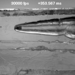 Wound Ballistics - Biokinetics